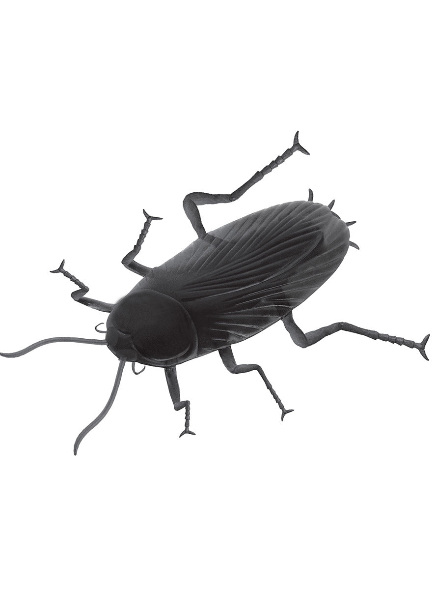 30cm Giant Cockroach | Giant Black Cockroach Decoration