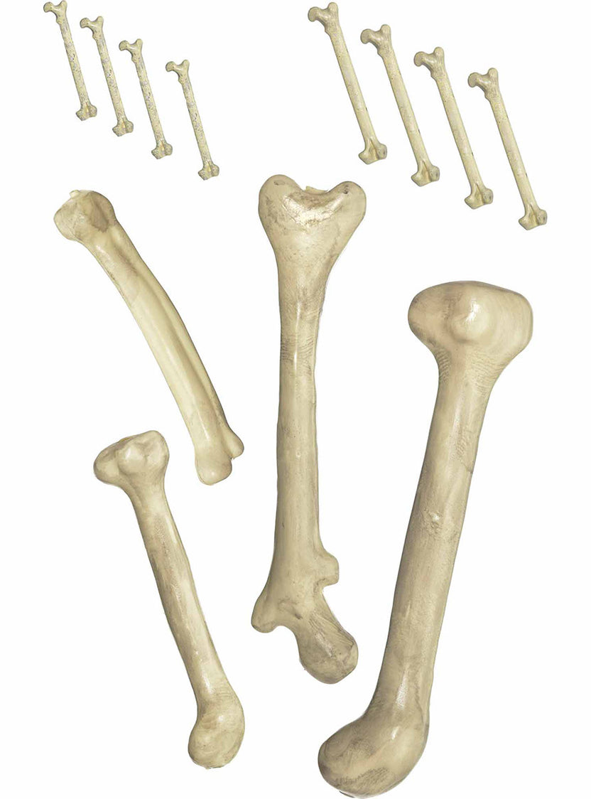 12 Piece Bone Decorations | Skeleton Halloween Decorations