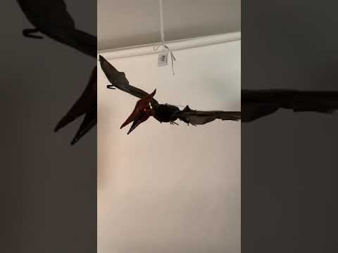 Light Up Dinosaur Deluxe Decoration | Deluxe Hanging Pterodactyl Prop