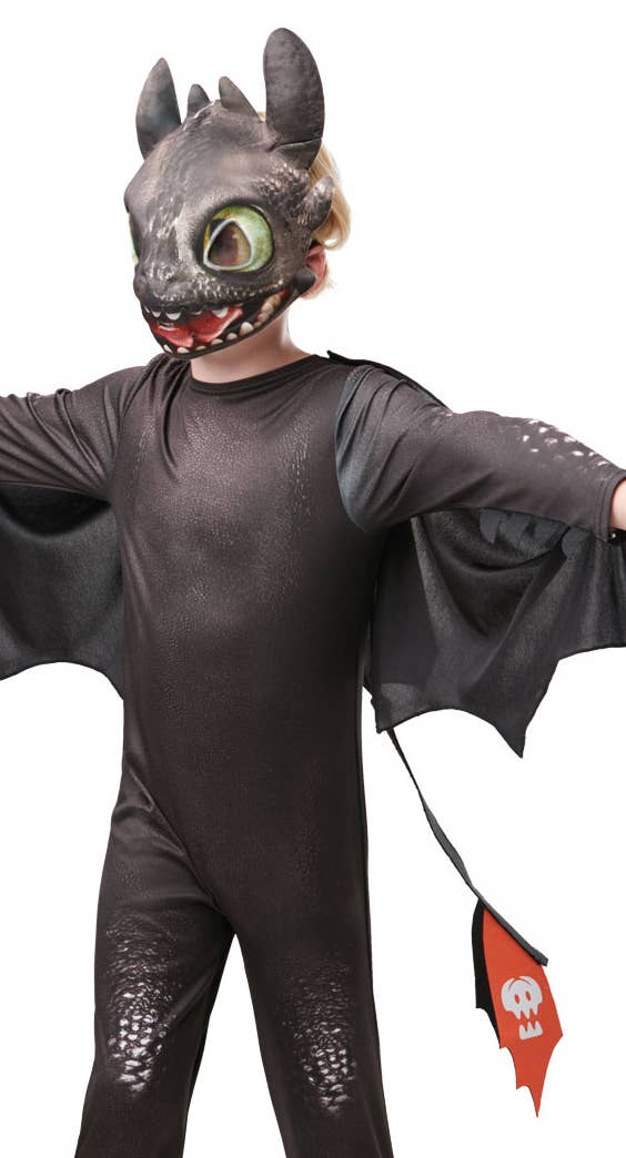 Toothless How to Train Your Dragon Costume | Boys Book Week Costume
