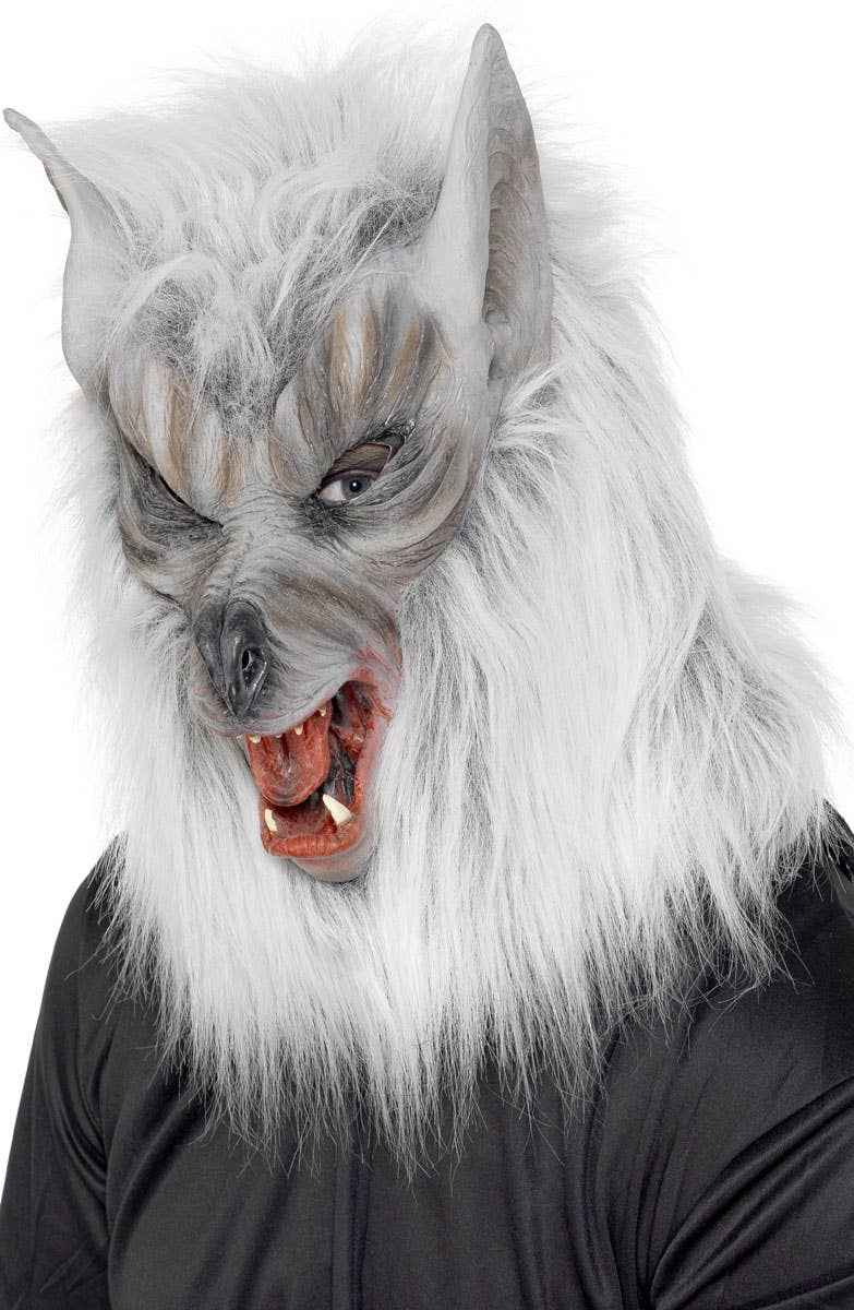 Latex Grey Werewolf Mask | Adults Grey Wolf Halloween Costume Mask