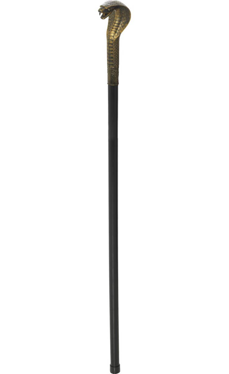 Halloween Walking Stick Costume Accessory | Snake Halloween Cane Accessory