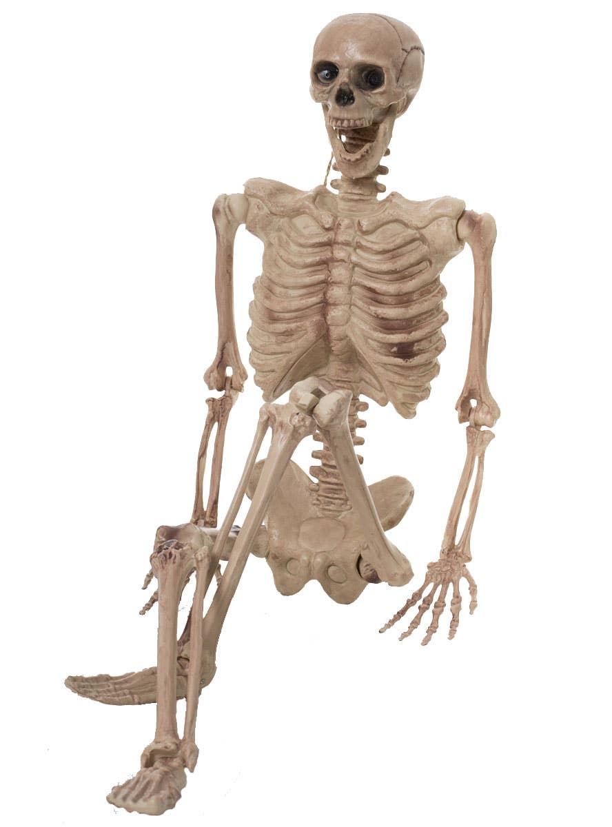 Life Size Skeleton Halloween Prop | Hanging Skeleton Decoration