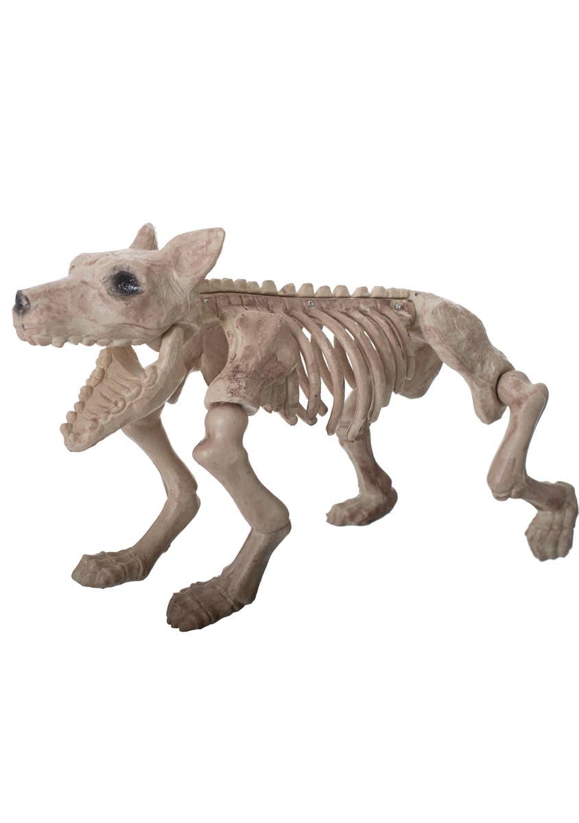 Largel Dog Skeleton Halloween Prop | Dog Skeleton Halloween Decoration