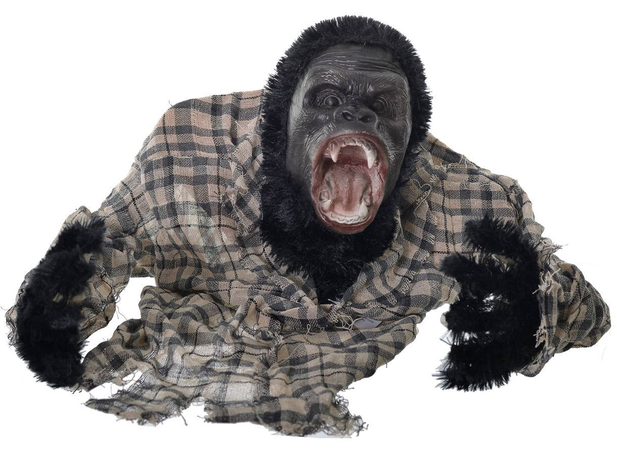 Zombie Gorilla Light Up Haunted House Prop | Black Gorilla Halloween ...