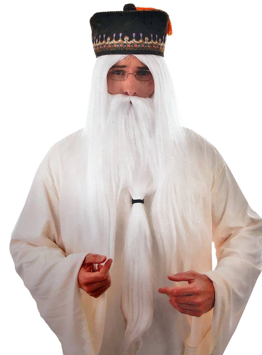 White Wizard Wig and Beard | Mens Wizard Costume Wig and Beard Set