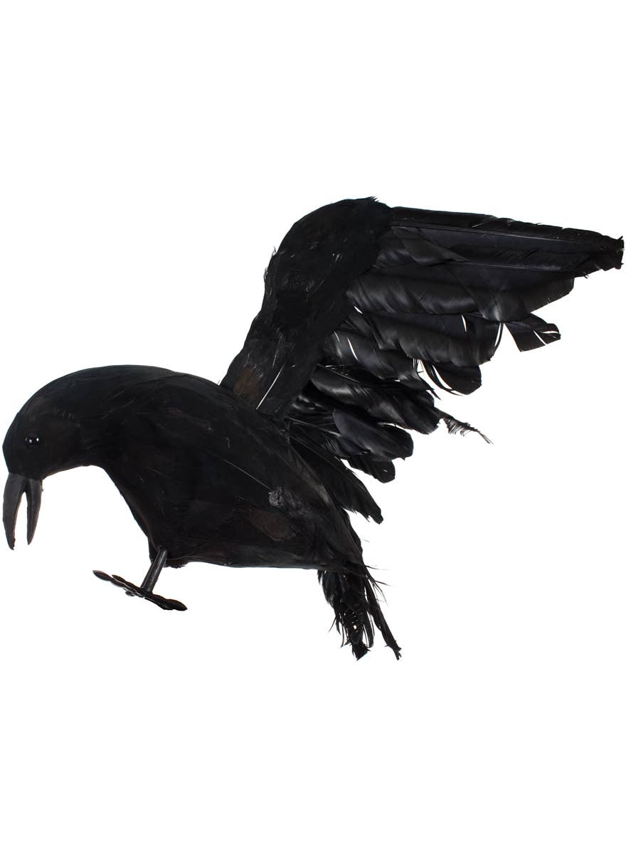 Black Feather Raven Decoration | Stranding Black Bird Halloween Prop